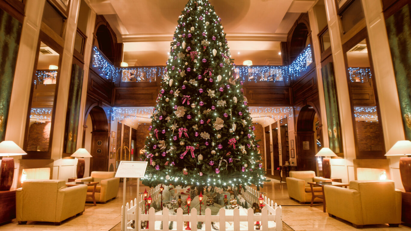 Hotels & Restaurants Overcrowded at Christmas? Beware of the Risk of ...